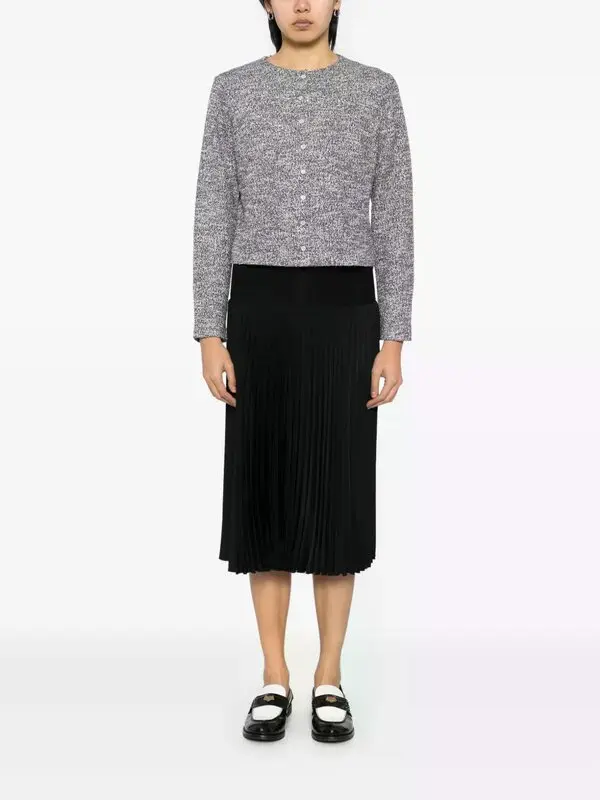 AGNÈS B. Pleated A-line Skirt