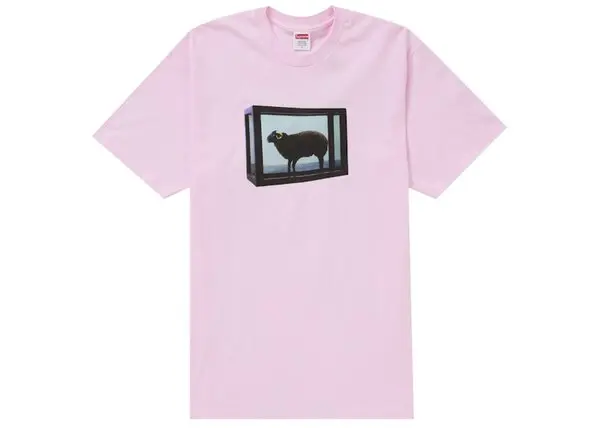Supreme Damien Hirst Tee Shirt - Light Pink