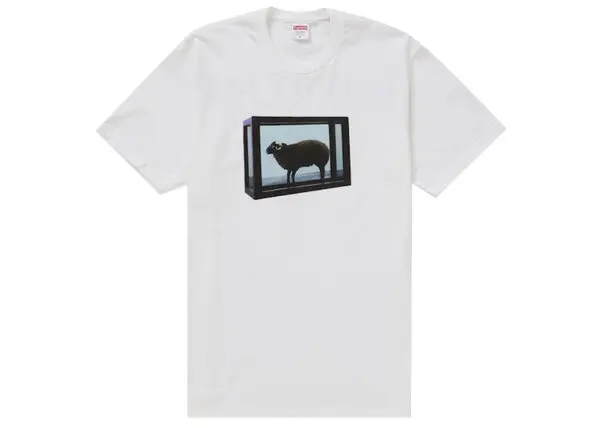 Supreme Damien Hirst Tee Shirt - White