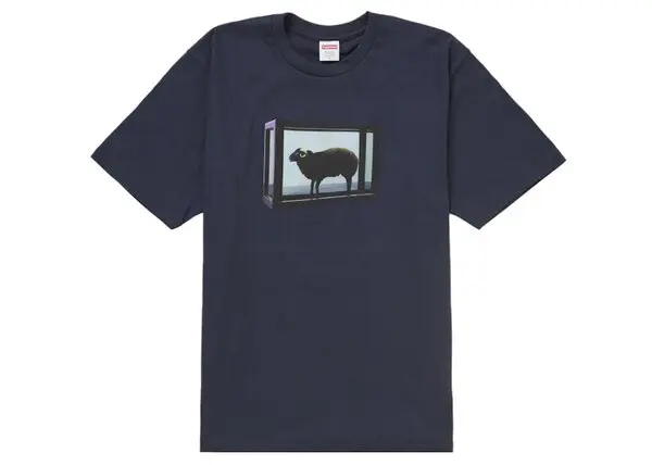 Supreme Damien Hirst Tee Shirt - Navy Blue