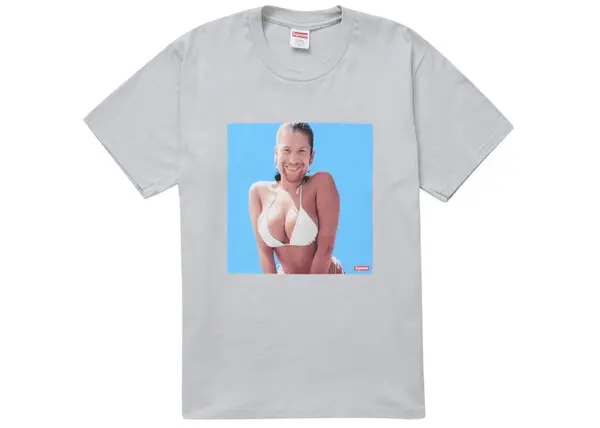 Supreme Aphex Twin Windowlicker Tee Shirt - Cement