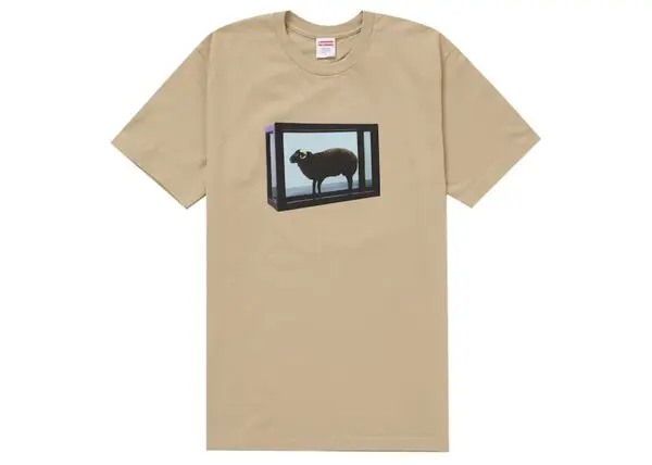 Supreme Damien Hirst Tee Shirt - Khaki