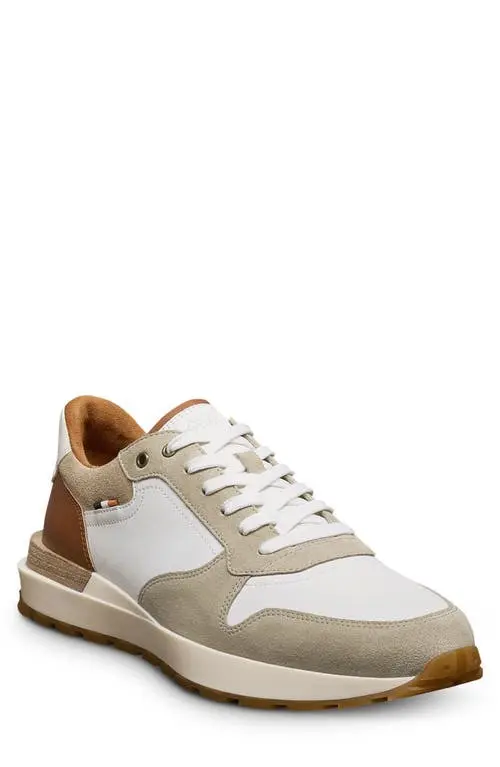 Allen Edmonds Lionel Lace-up Sneakers - White Multi