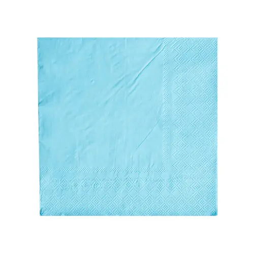 JOLLITY & CO Solid Color Large Napkins - Cloud
