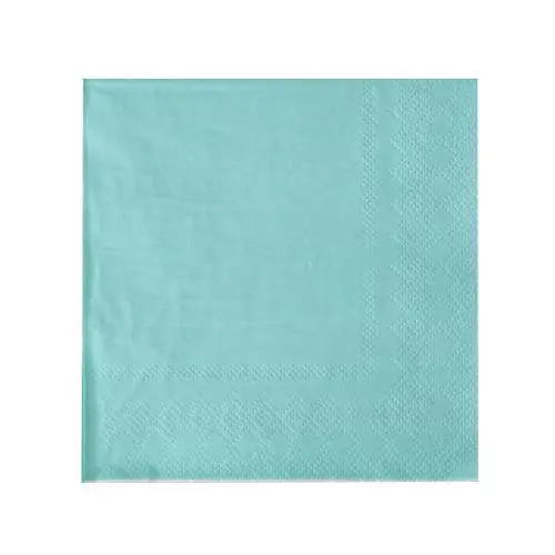 JOLLITY & CO Solid Color Large Napkins - Seafoam