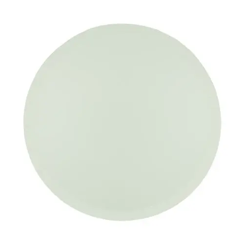 JOLLITY & CO Solid Color Dinner Plates - Pistachio