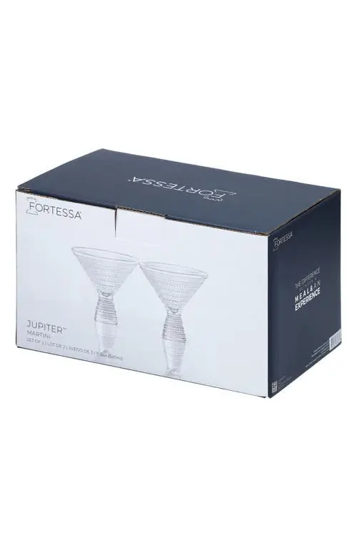 FORTESSA Jupiter Set Of 2 Martini Glasses