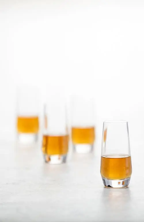 SCHOTT ZWIESEL Pure Set Of 6 Shot Glasses