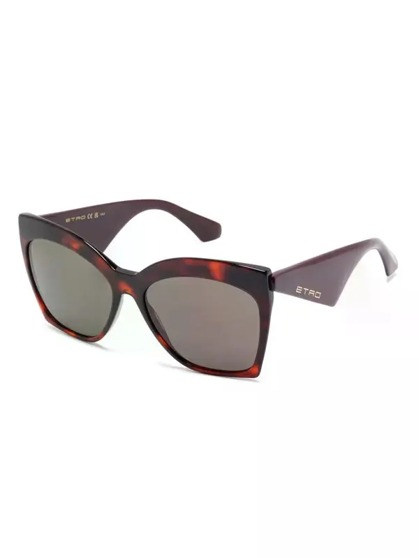 Etro Oversized Sunglasses - Brown