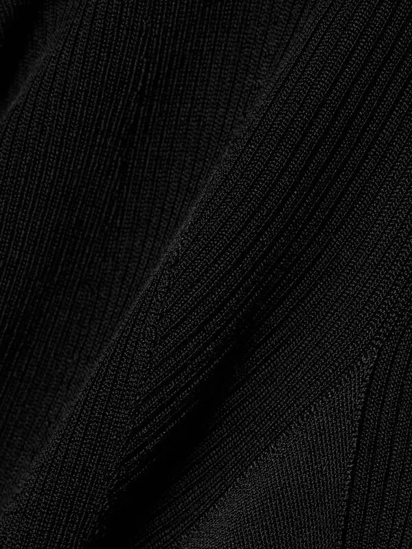 Galvan Polaris Ribbed-knit Turtleneck Top