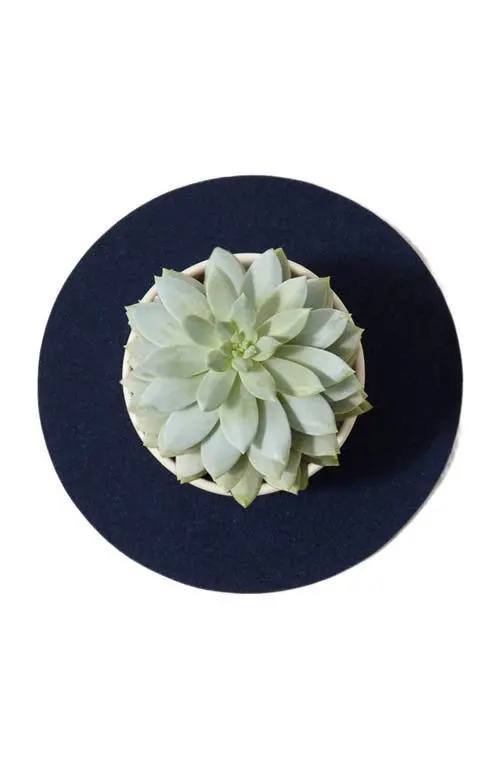 GRAF LANTZ Merino Wool 10" Round Trivet - Marine