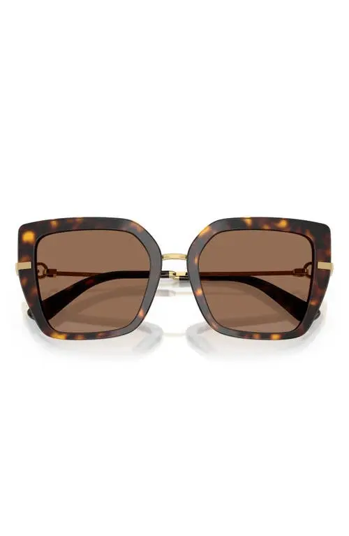 Dolce & Gabbana Butterfly Sunglasses - Havana