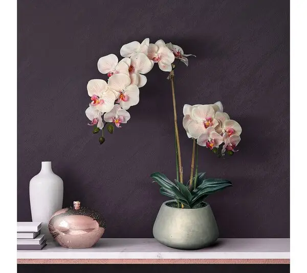 VALERIE PARR HILL 24' Natural Touch Phalaenopsis In Pot Valeri E - One-color