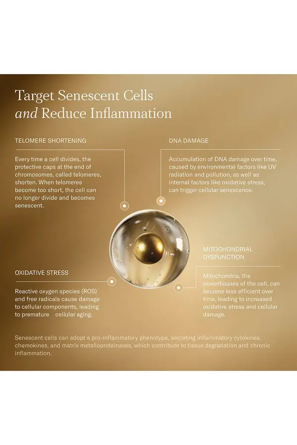 AUTEUR Definitive Collagen Activator Serum