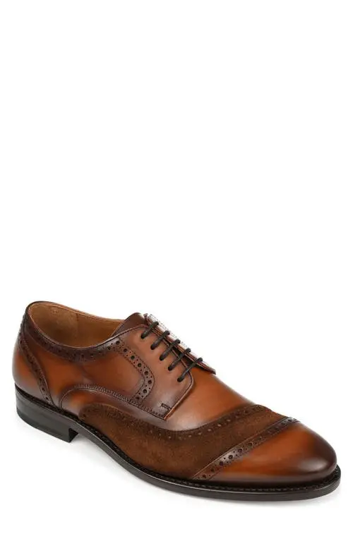 Taft The Gladiator Shoe - Chocolate