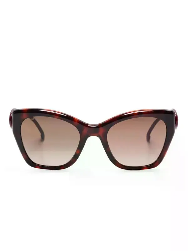 Etro Butterfly-frame Sunglasses - Brown