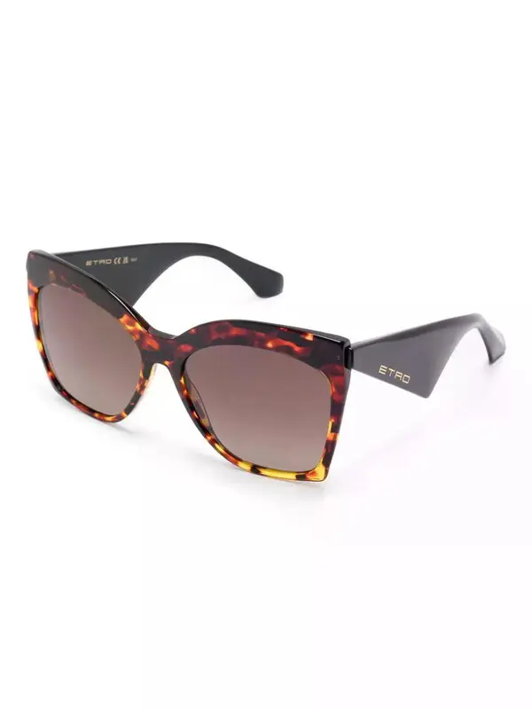 Etro Oversized Frame Sunglasses