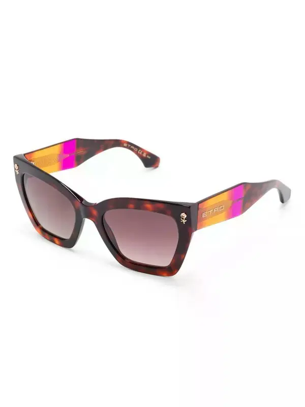 Etro Butterfly-frame Sunglasses - Brown