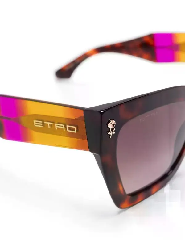 Etro Butterfly-frame Sunglasses - Brown