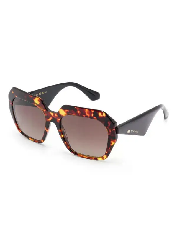 Etro Geometric Sunglasses - Brown