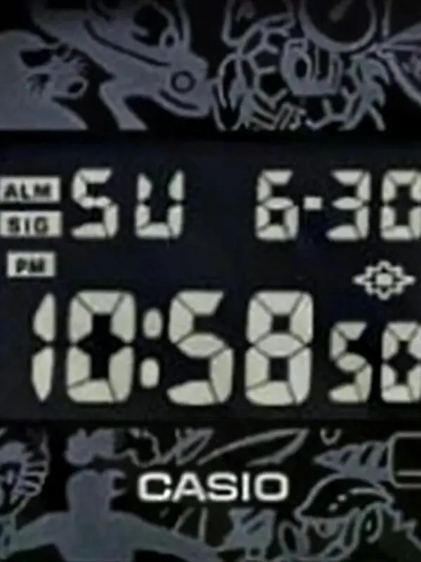Casio 5600 Series 43mm