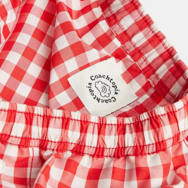 COACHTOPIA Loop Gingham Boxer Shorts