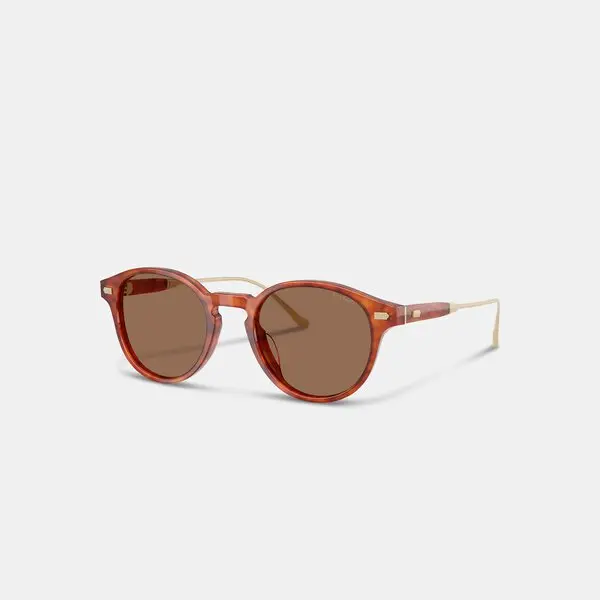 COACH Signature Round Sunglasses - Caramel Tortoise