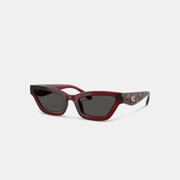 Coach Black and Red Patterned Sunglasses Coach HC6249U black , tortoise , pink frame main image 2