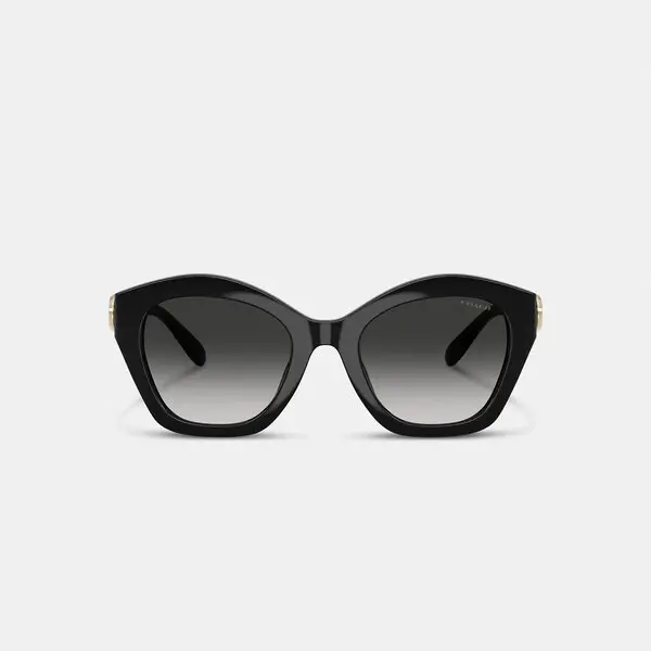COACH Oversized Geometric Sunglasses