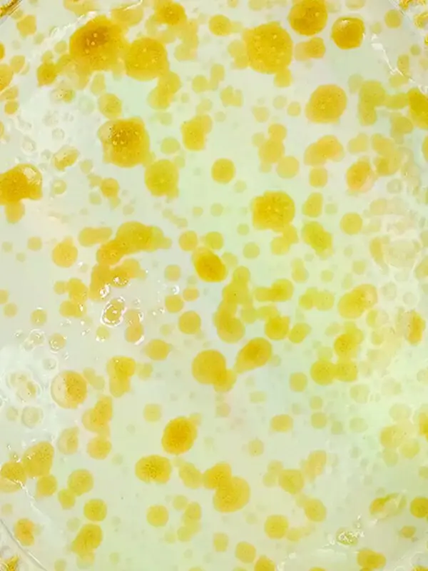 CABANA Speckled Dessert Plate