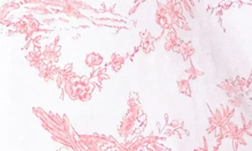 PETITE PLUME Timeless Toile Classic Pima Cotton Short Sleeve Short Pajamas - Pink
