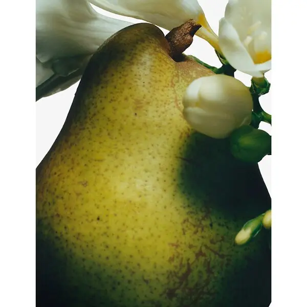 Jo Malone English Pear And Freesia Scent To Go - One-color