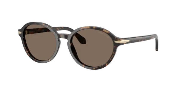 Giorgio Armani Round Frame Sunglasses - Brown