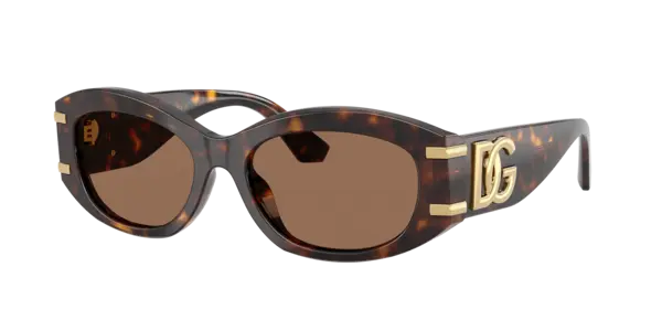Dolce & Gabbana Full Rim Sunglasses - Dark Brown