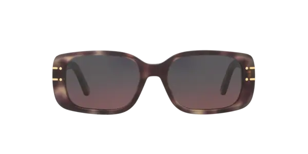 Dior Cd40176i Sunglasses - Grey Gradient