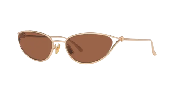 Bottega Veneta Bv1330s Sunglasses - Brown