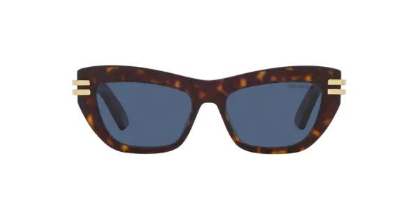 Dior Cdior B2u Sunglasses - Blue