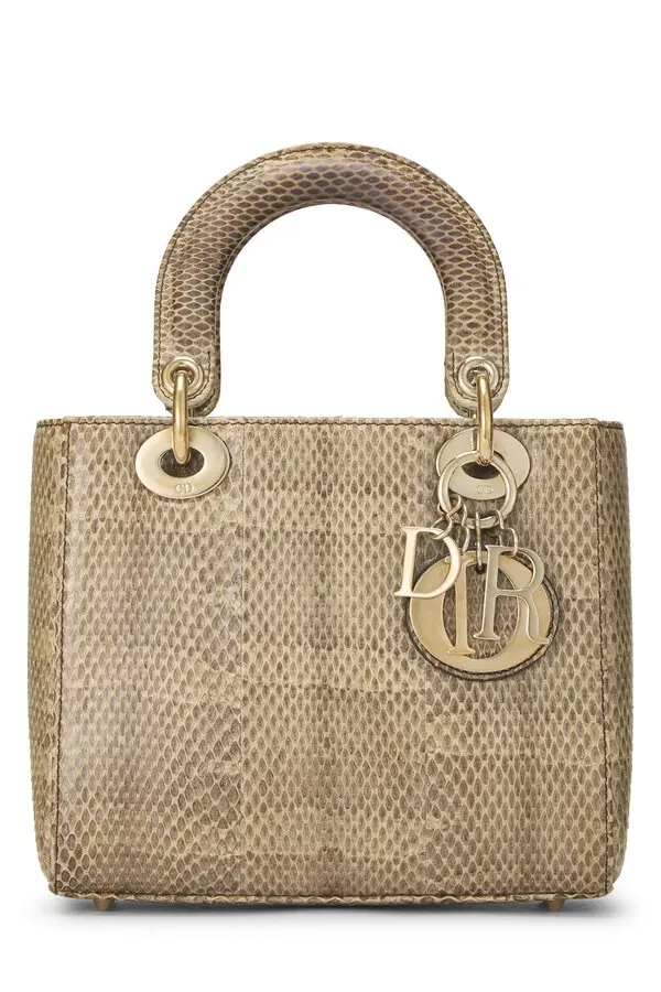 Dior Python Lady - Brown