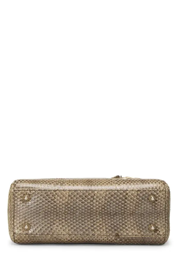 Dior Python Lady - Brown
