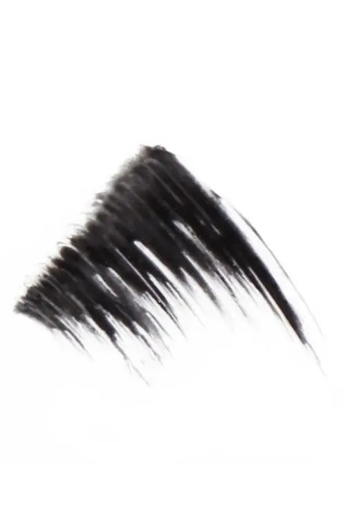 Anna Sui Sui Mascara - Ultimate Black