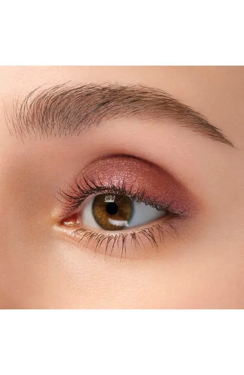 Anna Sui Shiny Eye Color - Cute Cherry Brown 500