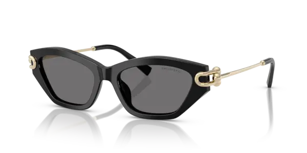 Tiffany & Co. Sunglasses Tf4231u - Noir