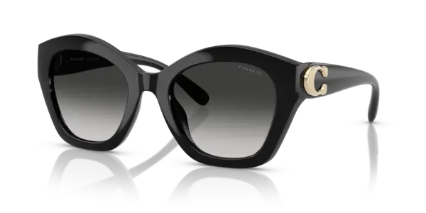 COACH Hc8421u Sunglasses - Noir