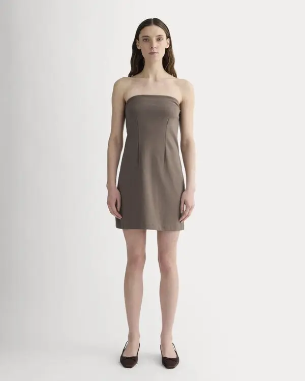 Everlane Dream Strapless Mini Dress - Deep Taupe