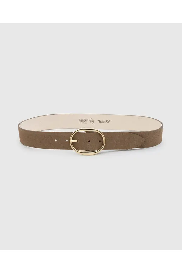 Splendid Wide Suede Belt - Gold