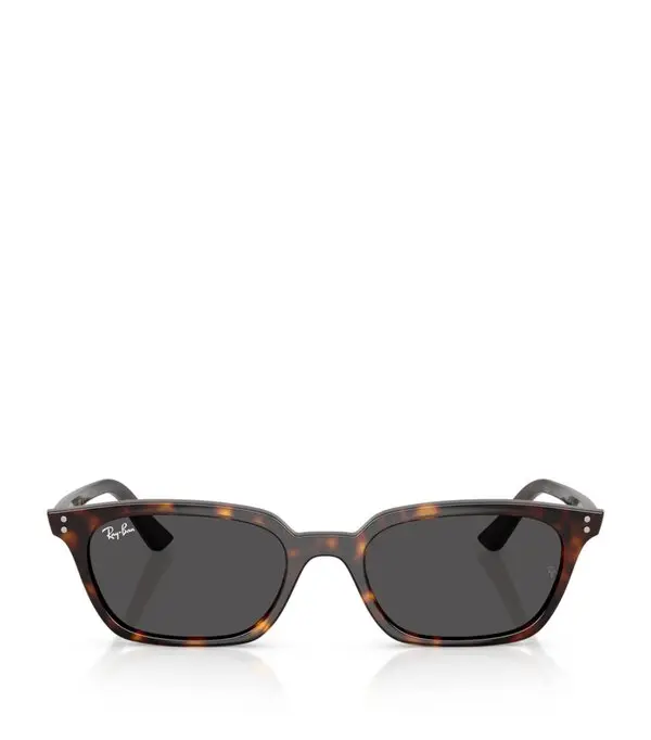 Ray-ban Zaya Bio-based Sunglasses - Brown