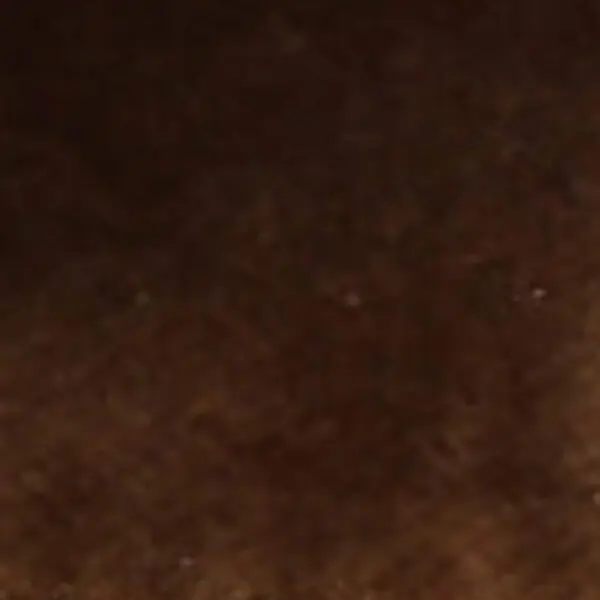 FLABELUS Velvet Yoki Mary Janes - Brown