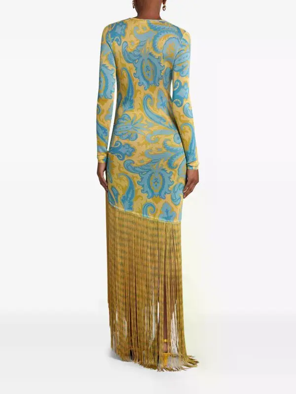 Etro Fringed Jacquard Dress