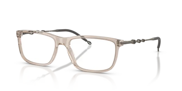 DIESEL Dl4006 Eyeglasses - Transparent Taupe