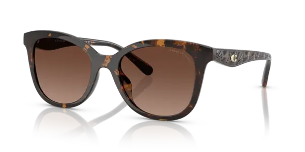 COACH Hc8419u Sunglasses - Écaille De Tortue Foncée